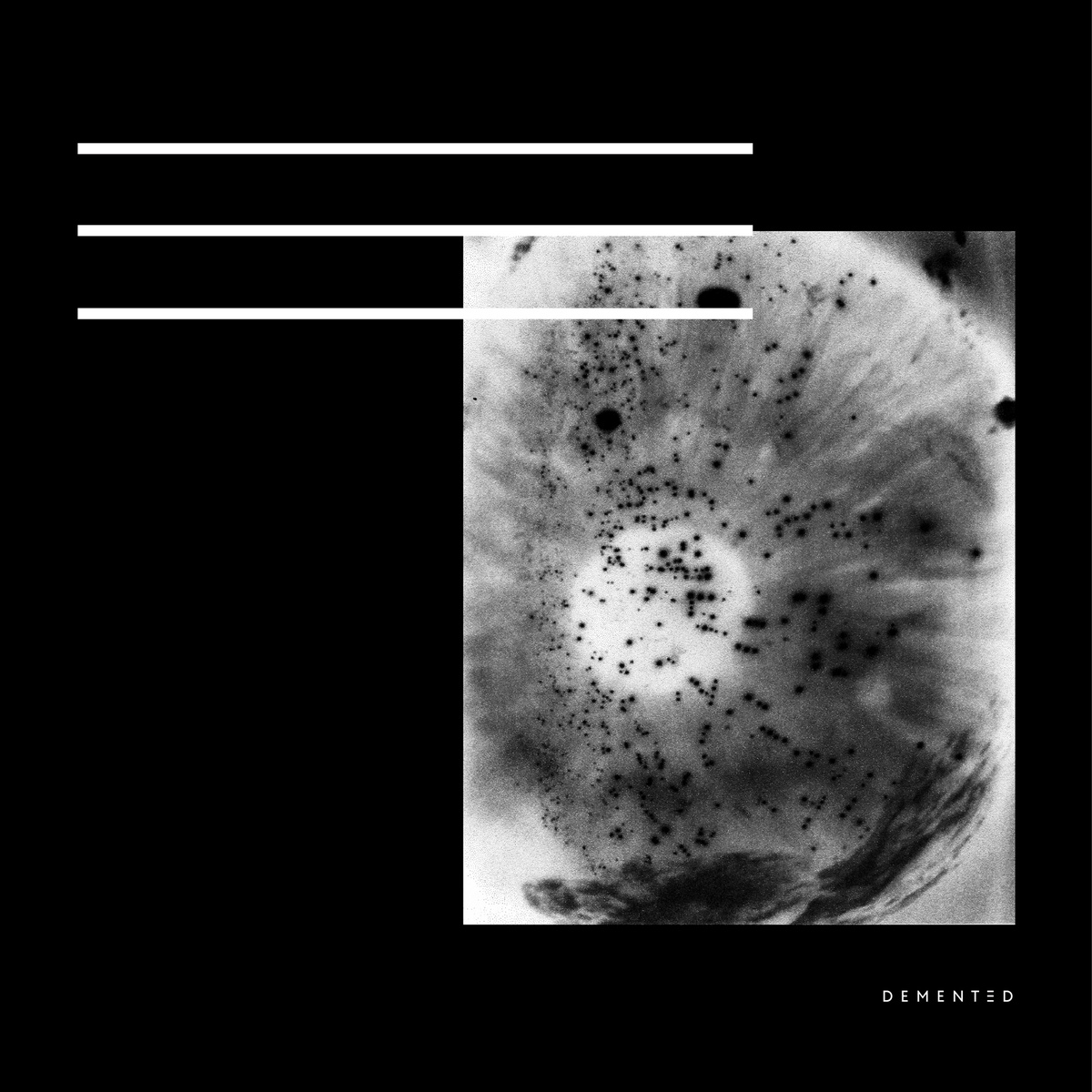 François X Albums: songs, discography, biography, and listening guide ...