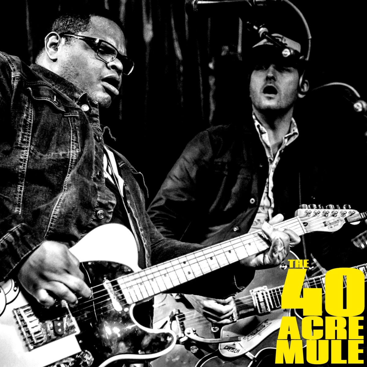 I'll Be Around by The 40 Acre Mule (Single): Reviews, Ratings, Credits ...