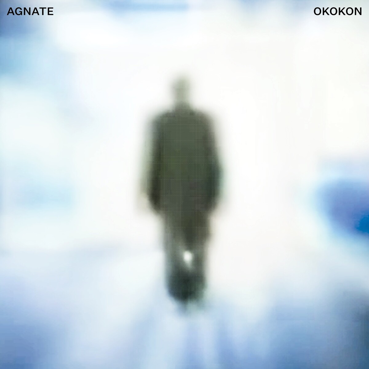 Agnate by Okokon (Single): Reviews, Ratings, Credits, Song list - Rate ...