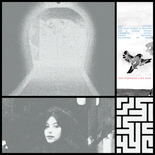 DES PERSONA LISA CIÓN by Román Roberts (Album, Dance-Punk): Reviews ...