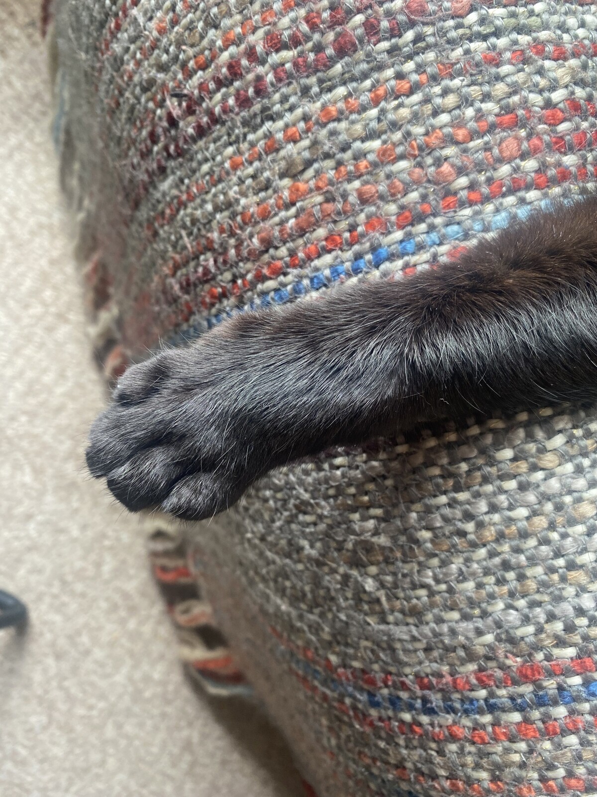 Sixty Two by Hell On Hearth (EP): Reviews, Ratings, Credits, Song list - Rate Your Music