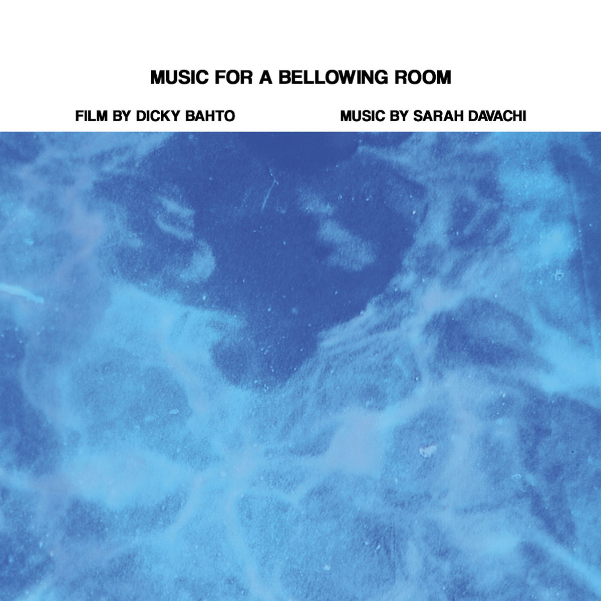 Music for a Bellowing Room by Sarah Davachi and Dicky Bahto (Album ...