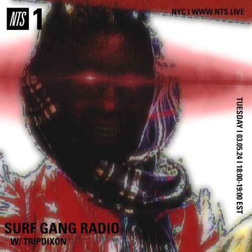 NTS Surf Gang Radio by TripDixon (DJ Mix, Cloud Rap): Reviews, Ratings ...