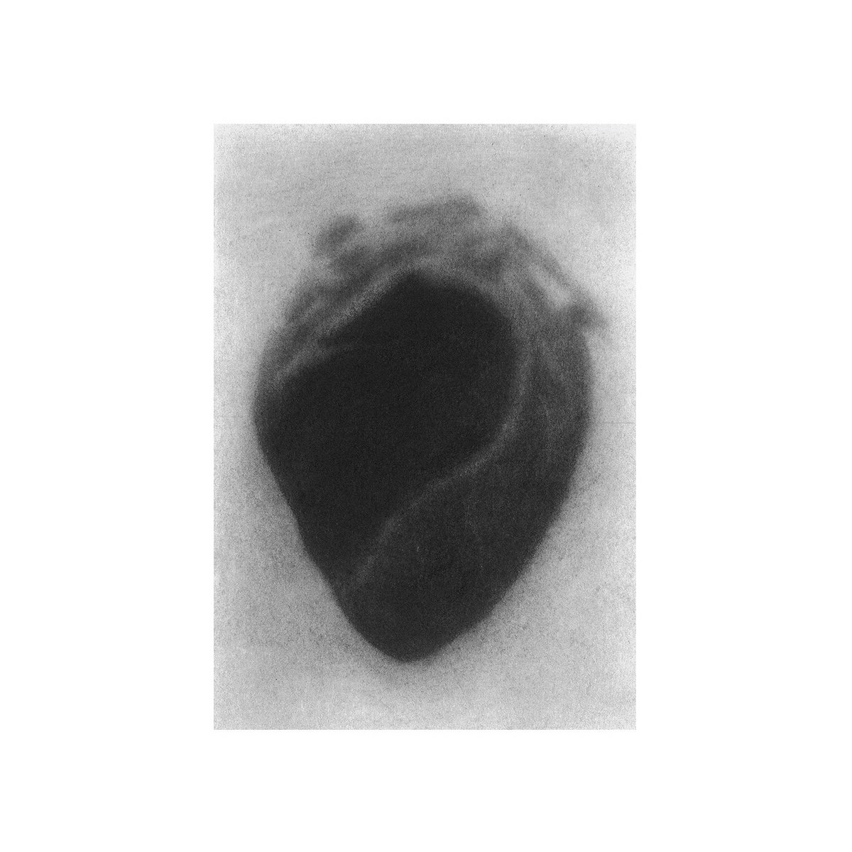 My Year of Wandering by Mexican Middle Class (Album, Art Pop): Reviews ...