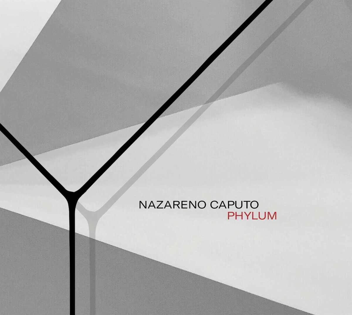 Phylum by Nazareno Caputo (Album): Reviews, Ratings, Credits, Song list ...