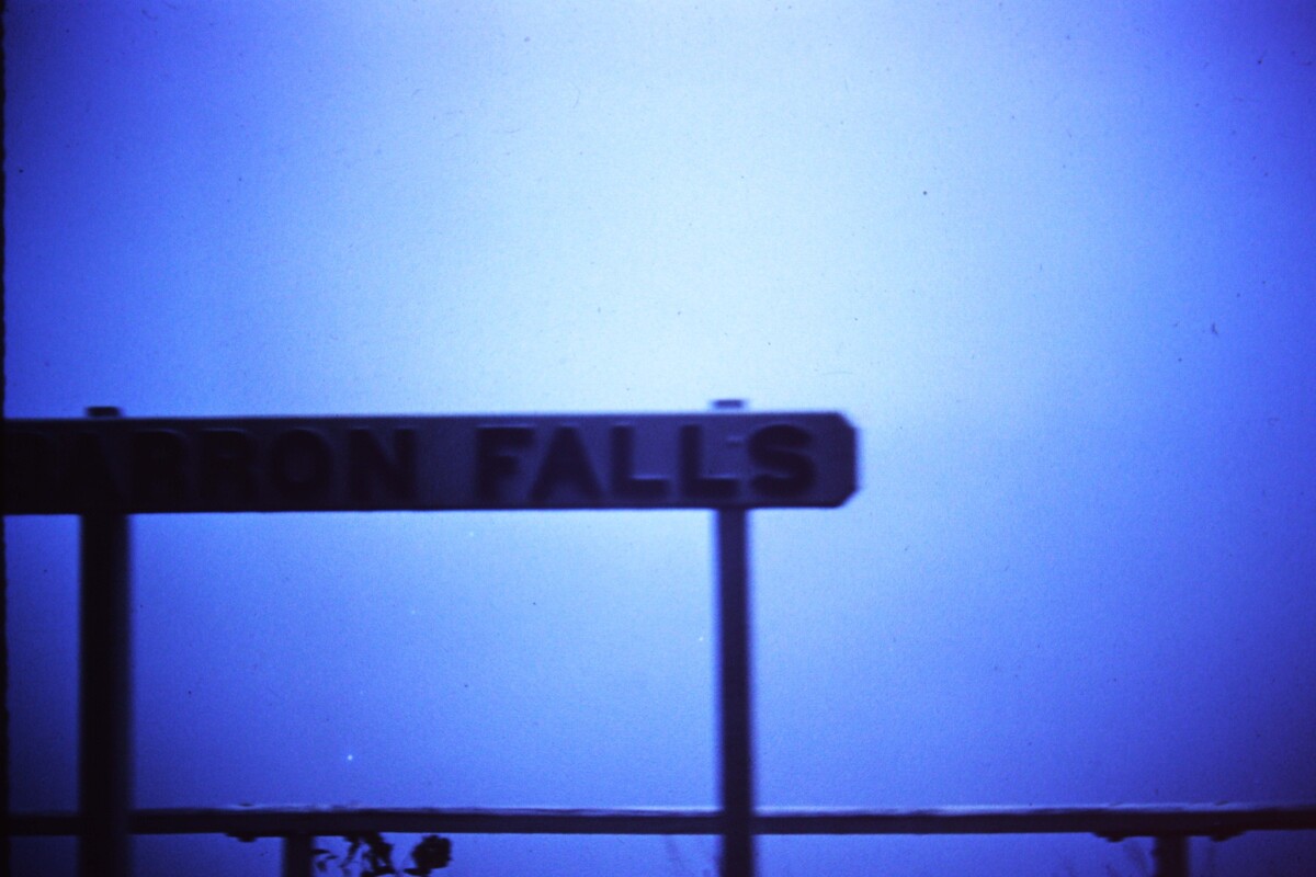 Humancentipedewatchparty by frogurt (Single): Reviews, Ratings, Credits ...