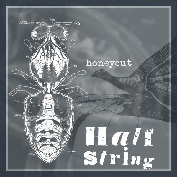 Honeycut by Half String (Single, Neo-Psychedelia): Reviews, Ratings ...
