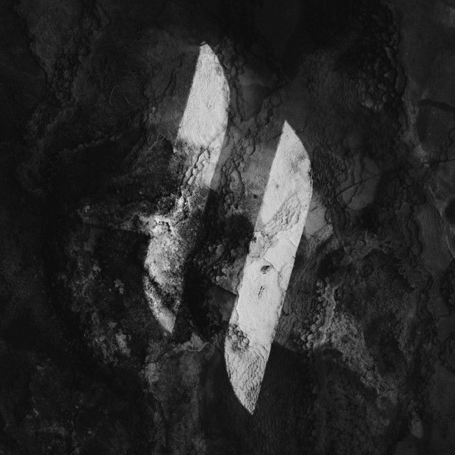 Destroy//Create Albums: songs, discography, biography, and listening ...