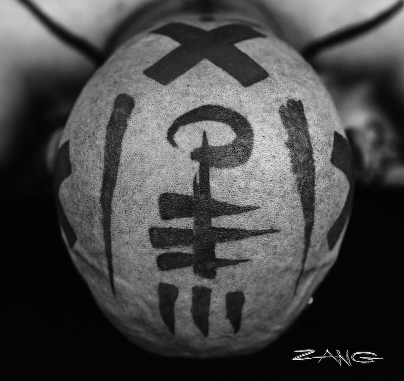 Glaca Albums: songs, discography, biography, and listening guide - Rate Your Music