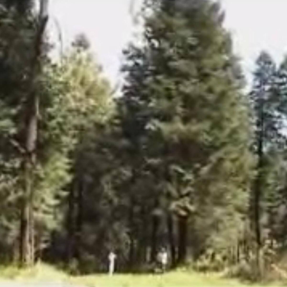 Free jazz at the mountains by Scott Forrey & Germán Bringas Duo ...