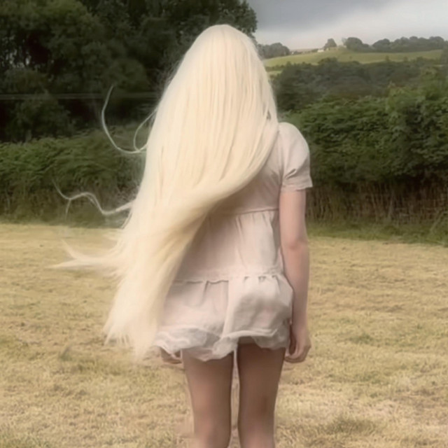 Window by Salvia (Single): Reviews, Ratings, Credits, Song list - Rate ...