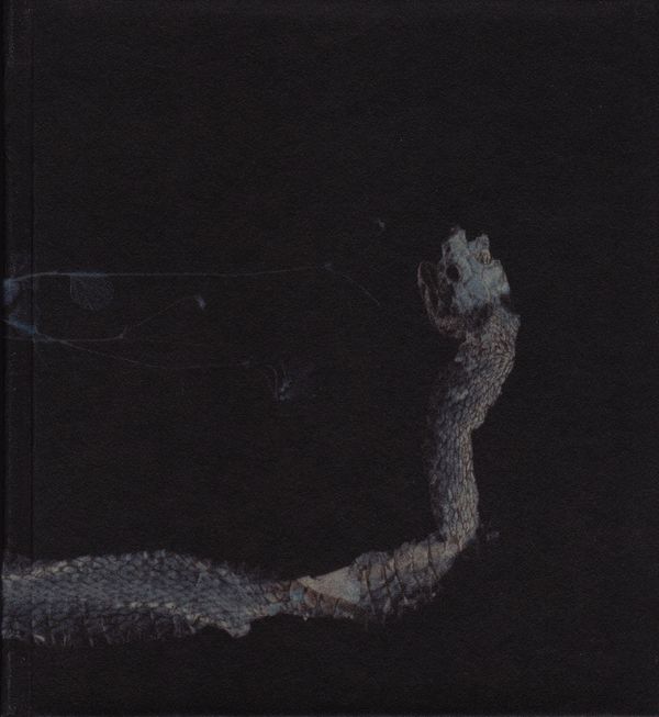 Tenhi Albums: songs, discography, biography, and listening guide - Rate ...