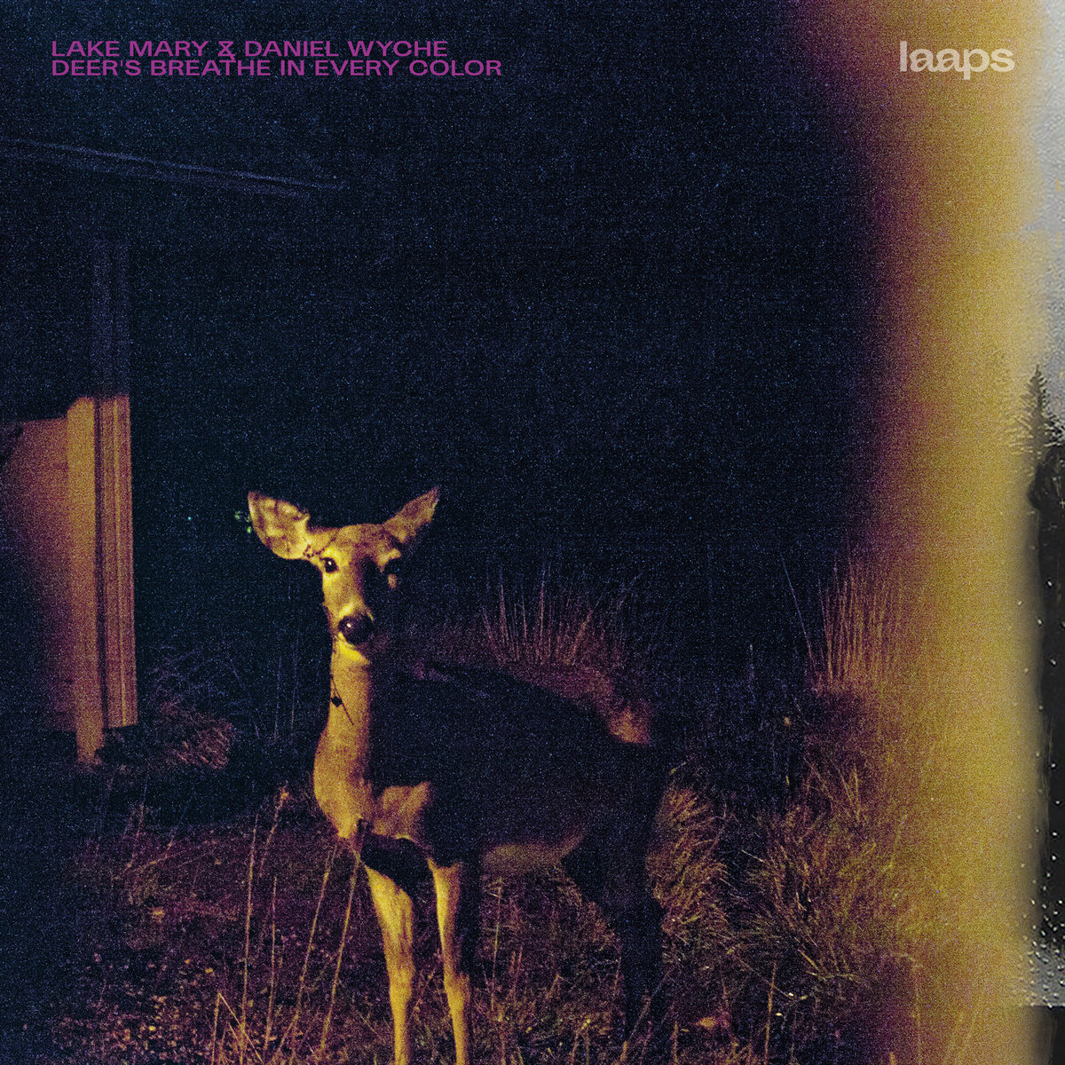 Deer's Breathe in Every Color by Lake Mary & Daniel Wyche (Album ...