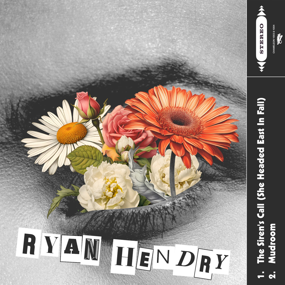 The Siren's Call / Mudroom by Ryan Hendry (Single, Singer-Songwriter): Reviews, Ratings, Credits ...