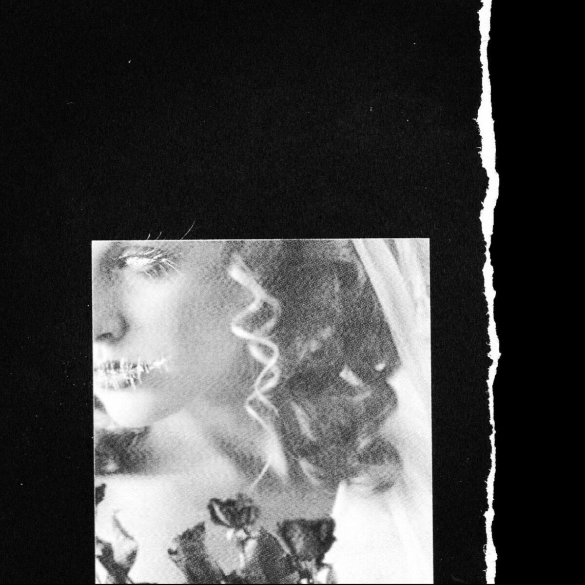 Tree House Horror by Vomer (Single): Reviews, Ratings, Credits, Song ...
