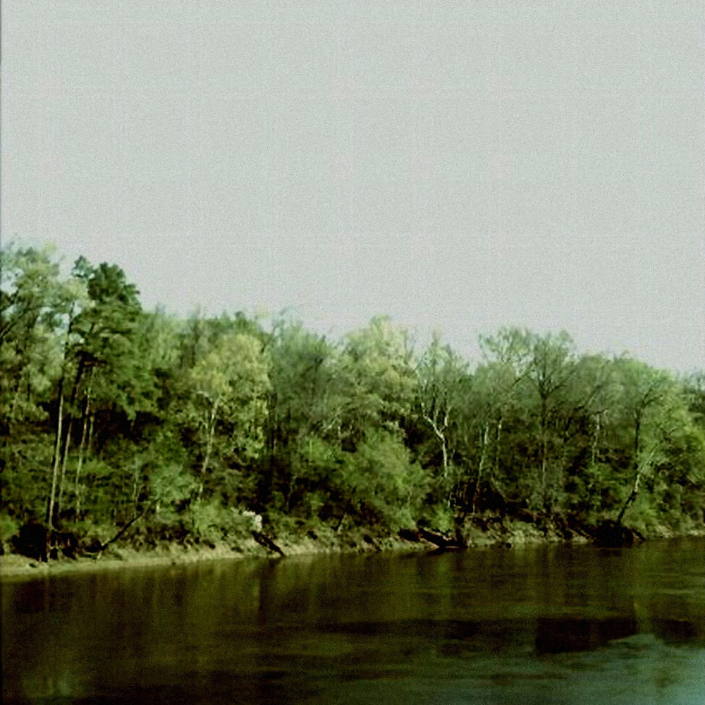 19 / 24 ( Backlake ) by Coppice Halifax (Album): Reviews, Ratings ...