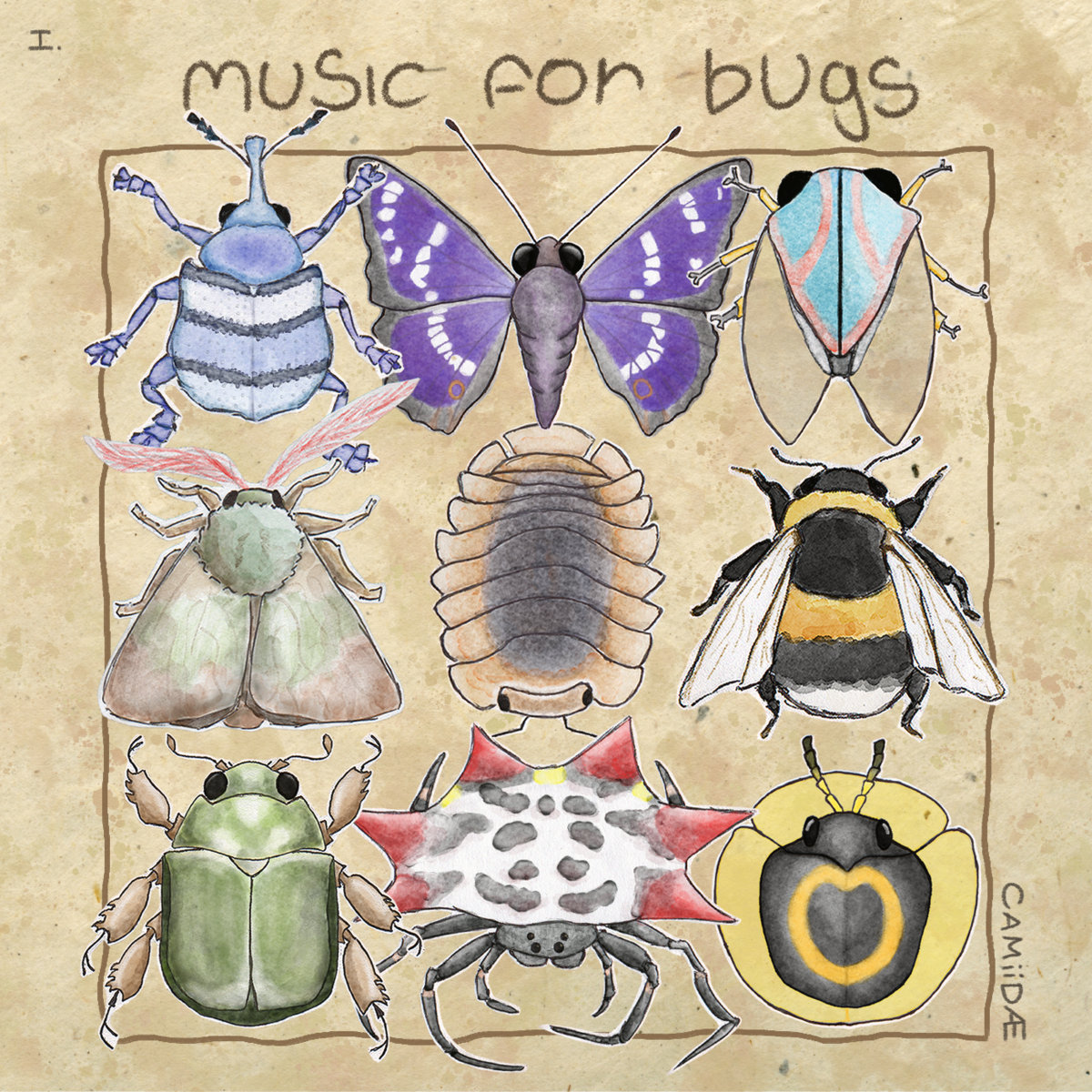 Music for Bugs by camiidae (Album, Neoclassical New Age): Reviews ...