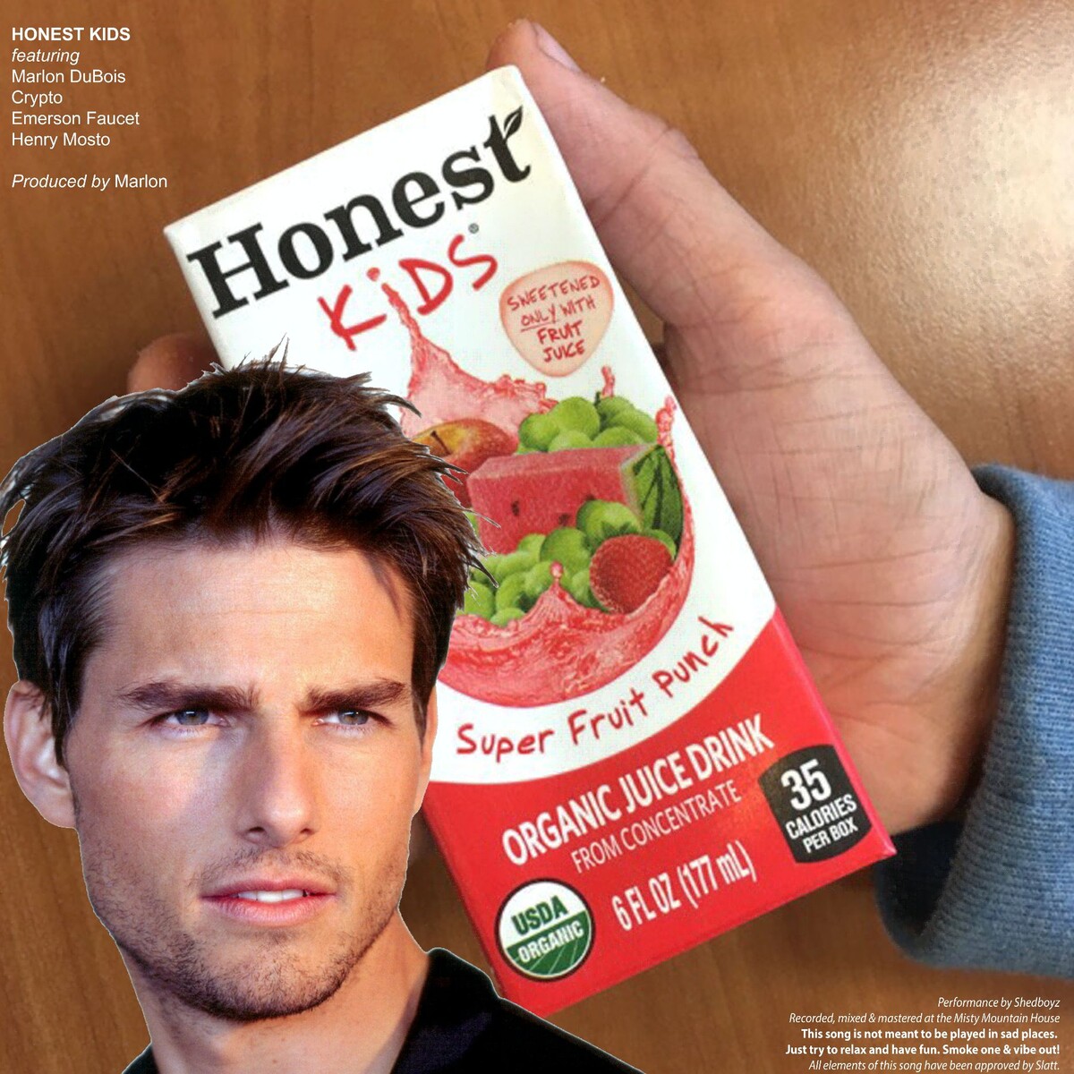 Honest Kids Tea (Shed Theory 7/15) by Shed Theory (Single; n/a; n/a ...