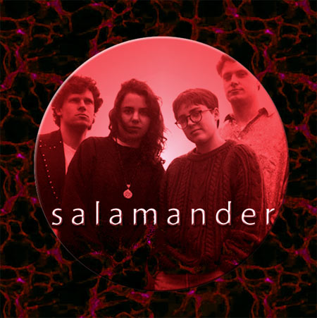 Salamander [Power Pop] Albums: songs, discography, biography, and ...