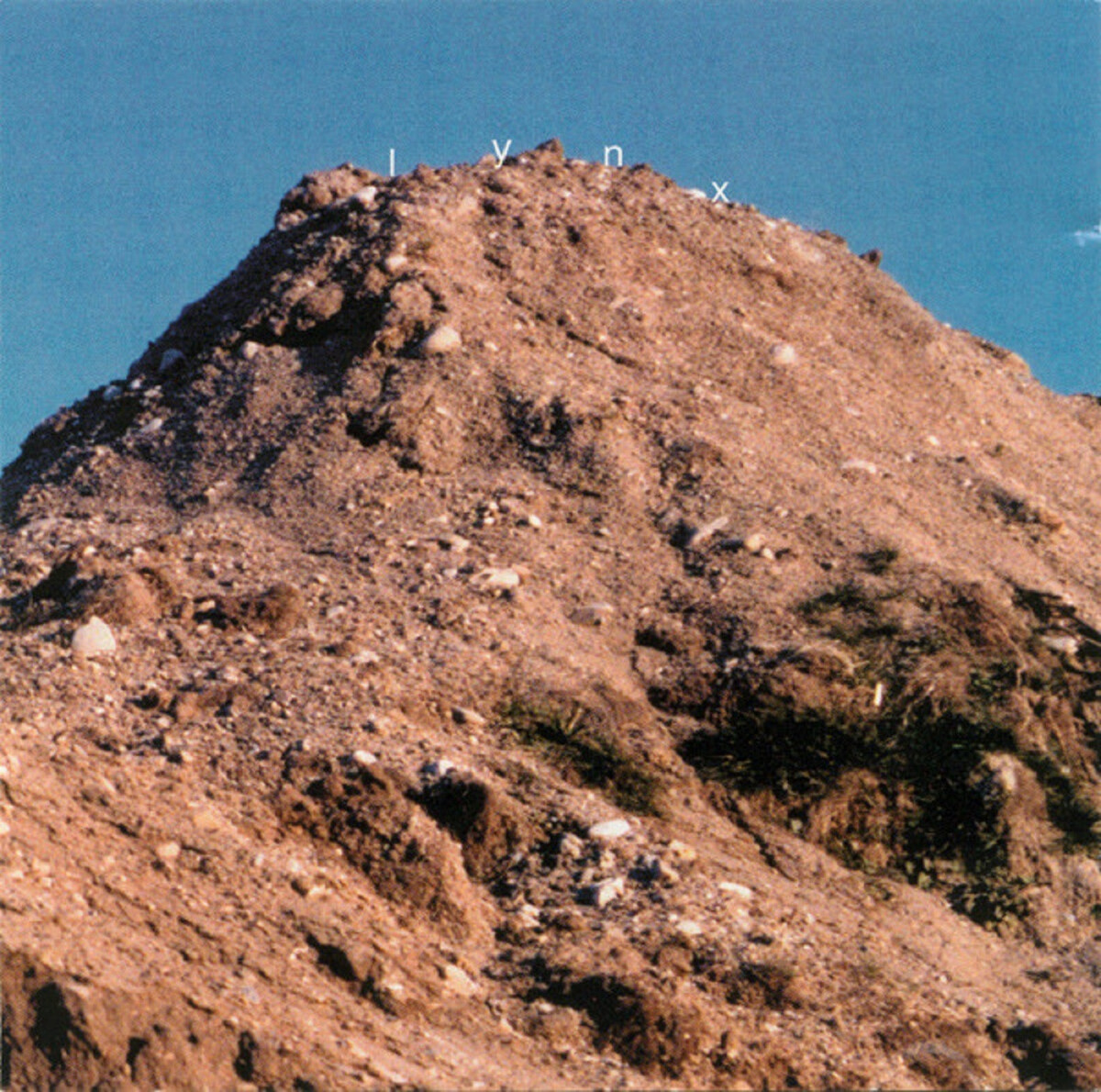 Lynx Albums: songs, discography, biography, and listening guide - Rate ...