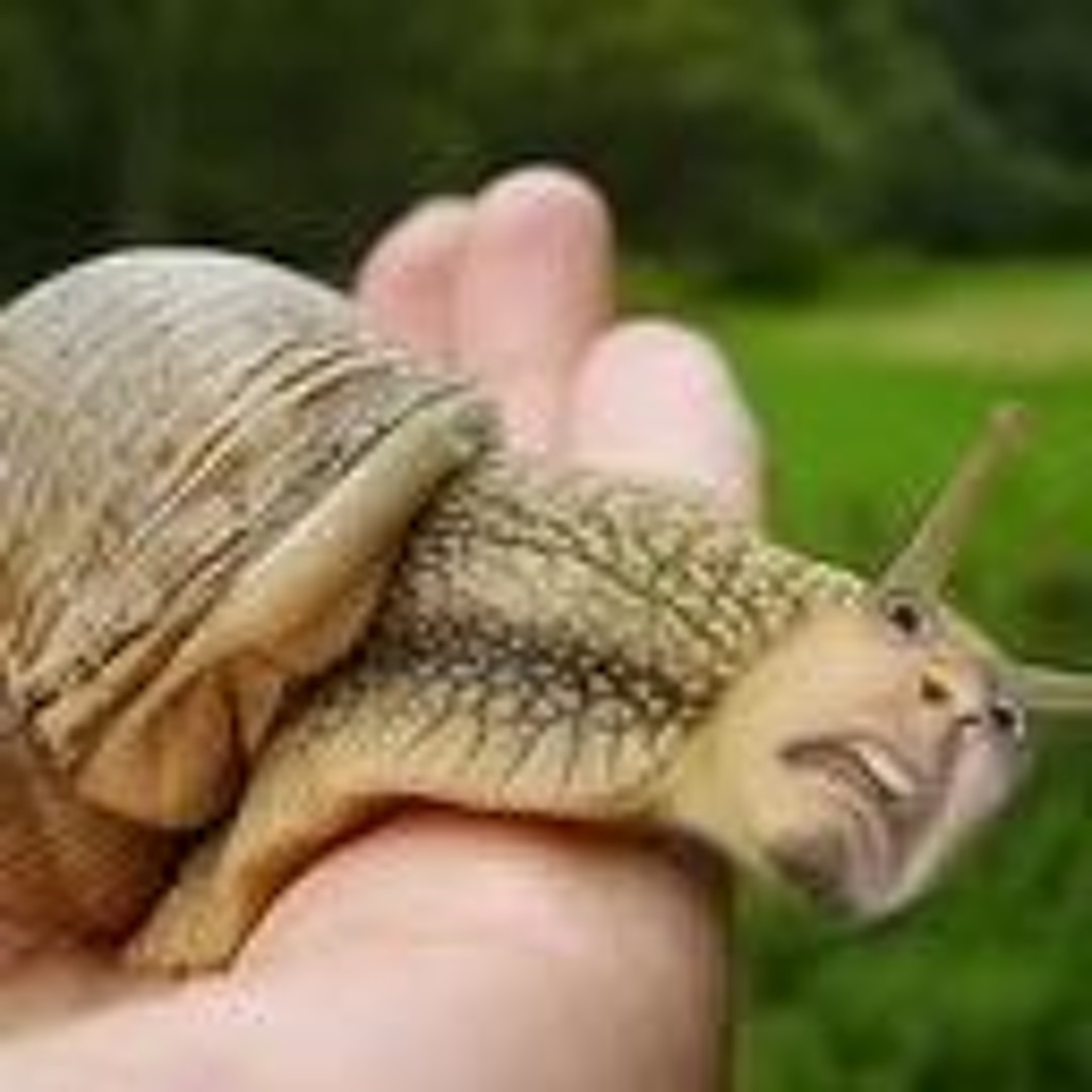 Snail Song #3 by Gezebelle Gaburgably (Single): Reviews, Ratings ...