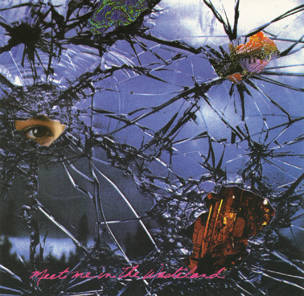 Meet Me in the Wasteland by Mauve Sideshow (Album, Dark Ambient ...