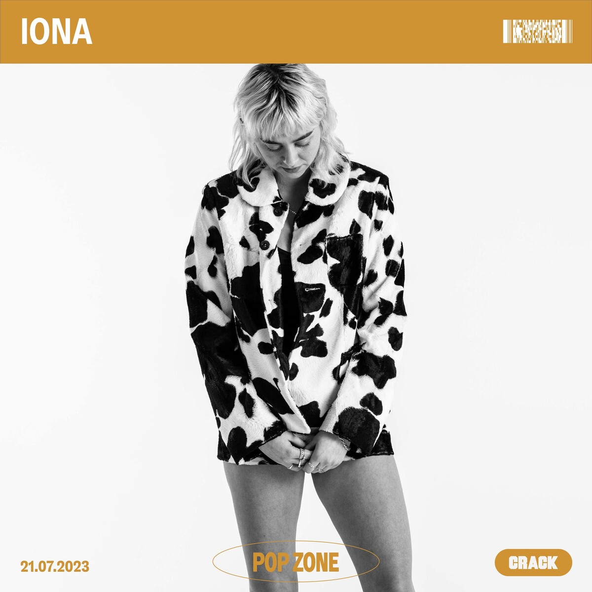 Pop Zone by iona (DJ Mix): Reviews, Ratings, Credits, Song list - Rate ...