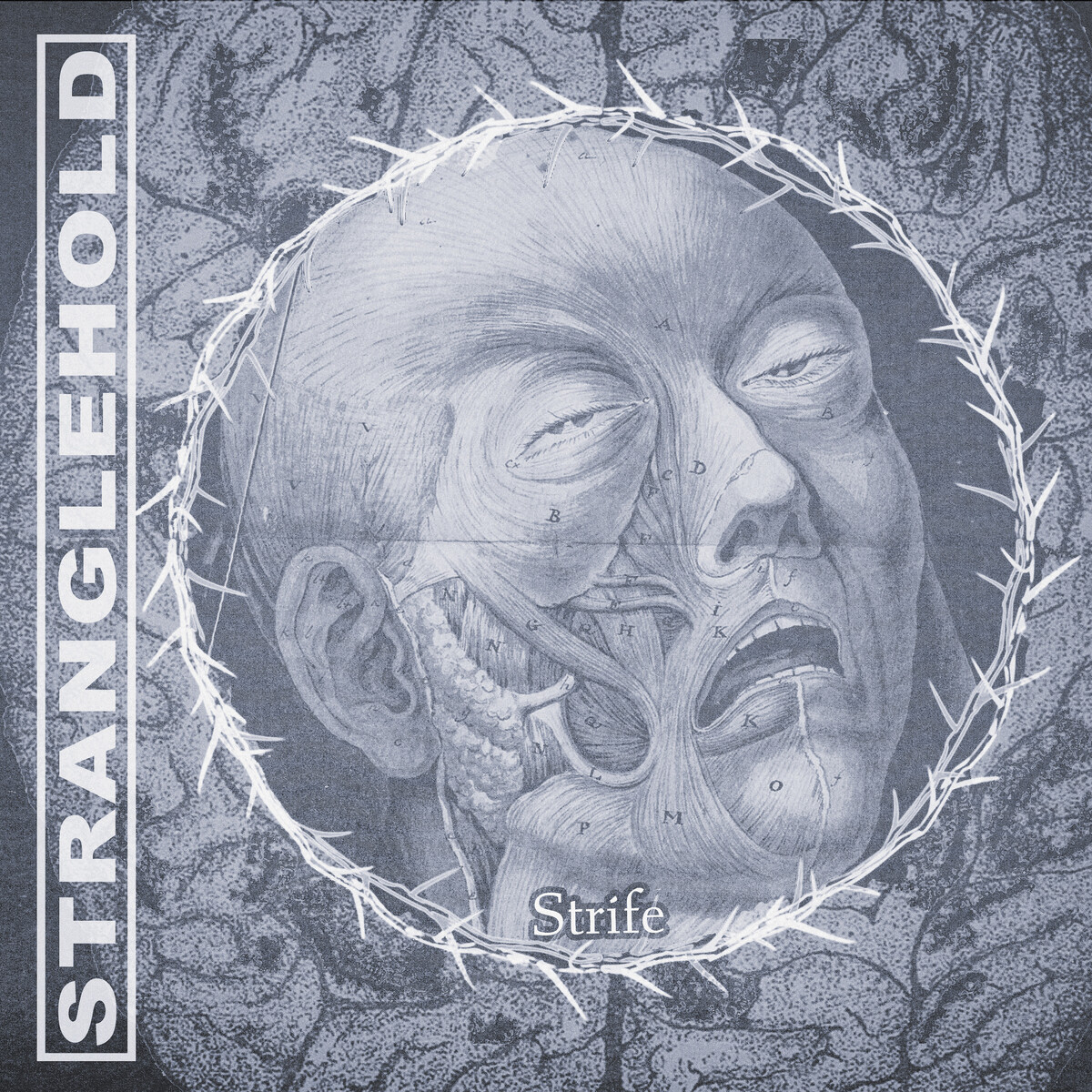 Strife by Stranglehold (Single): Reviews, Ratings, Credits, Song list ...