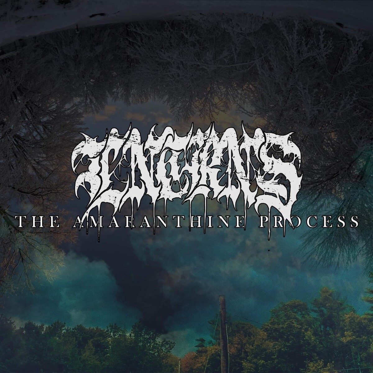 The Amaranthine Process by LNTRNS (Single): Reviews, Ratings, Credits ...