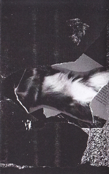 Negative. Albums: songs, discography, biography, and listening guide ...