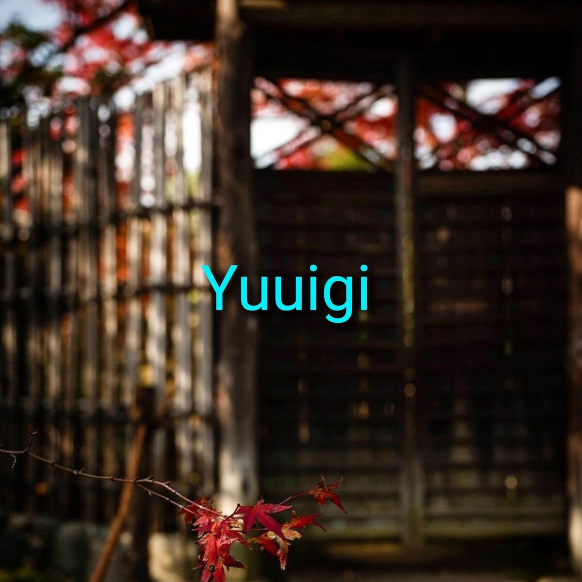 Yuuigi by Michiru Aoyama (Album): Reviews, Ratings, Credits, Song list ...
