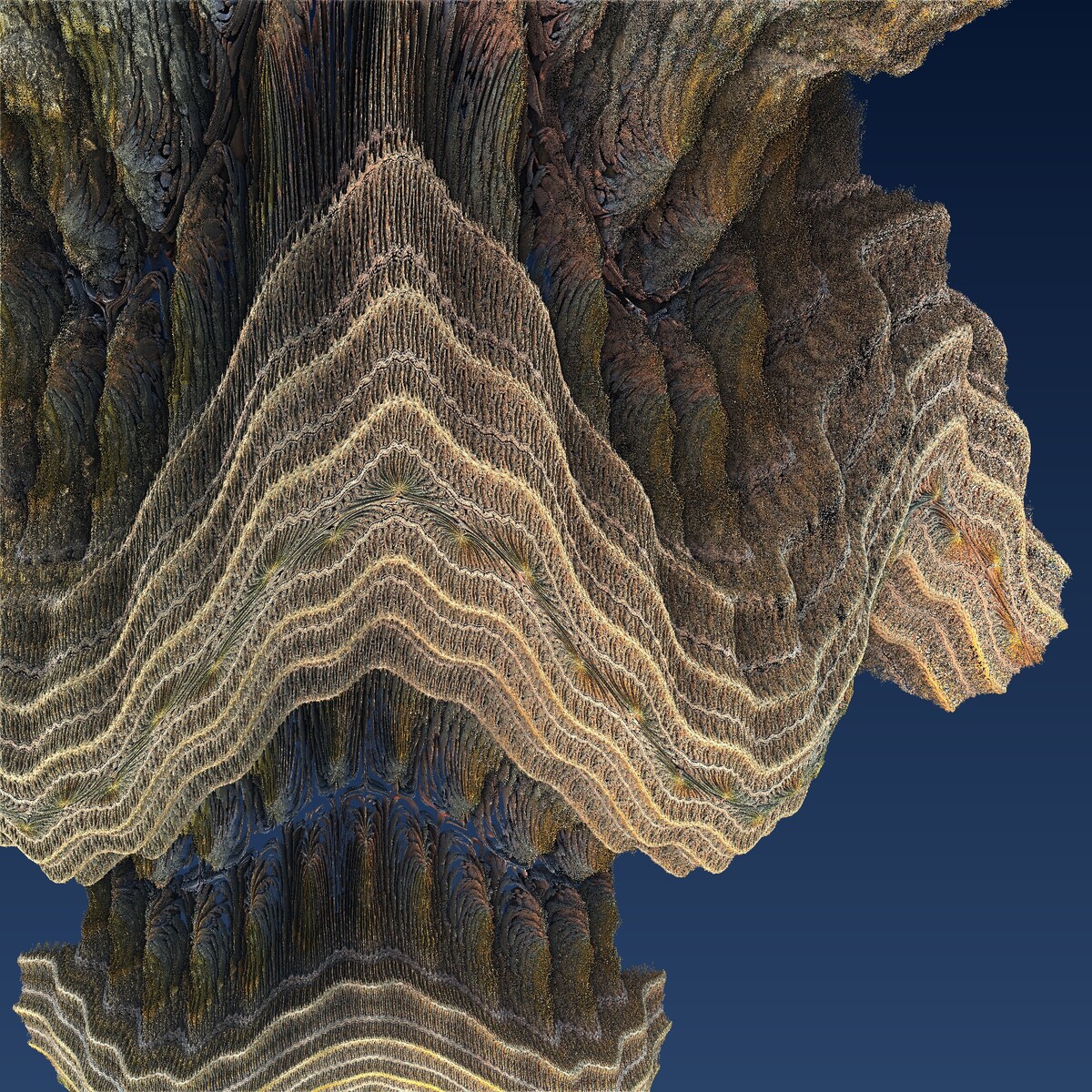 Dynamic Polarization by EnigmaCurry (Album): Reviews, Ratings, Credits ...