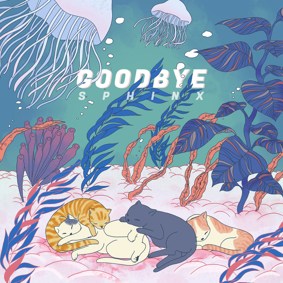 UMI NOISE Albums: songs, discography, biography, and listening guide ...