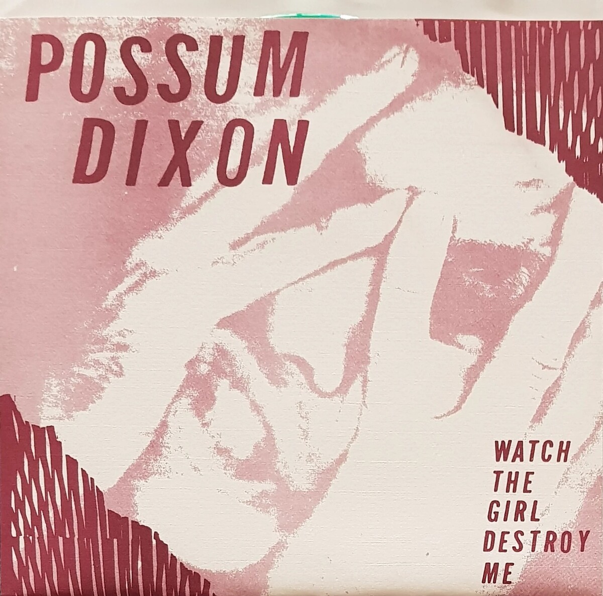 Watch the Girl Destroy Me / Friends by Possum Dixon (Single ...