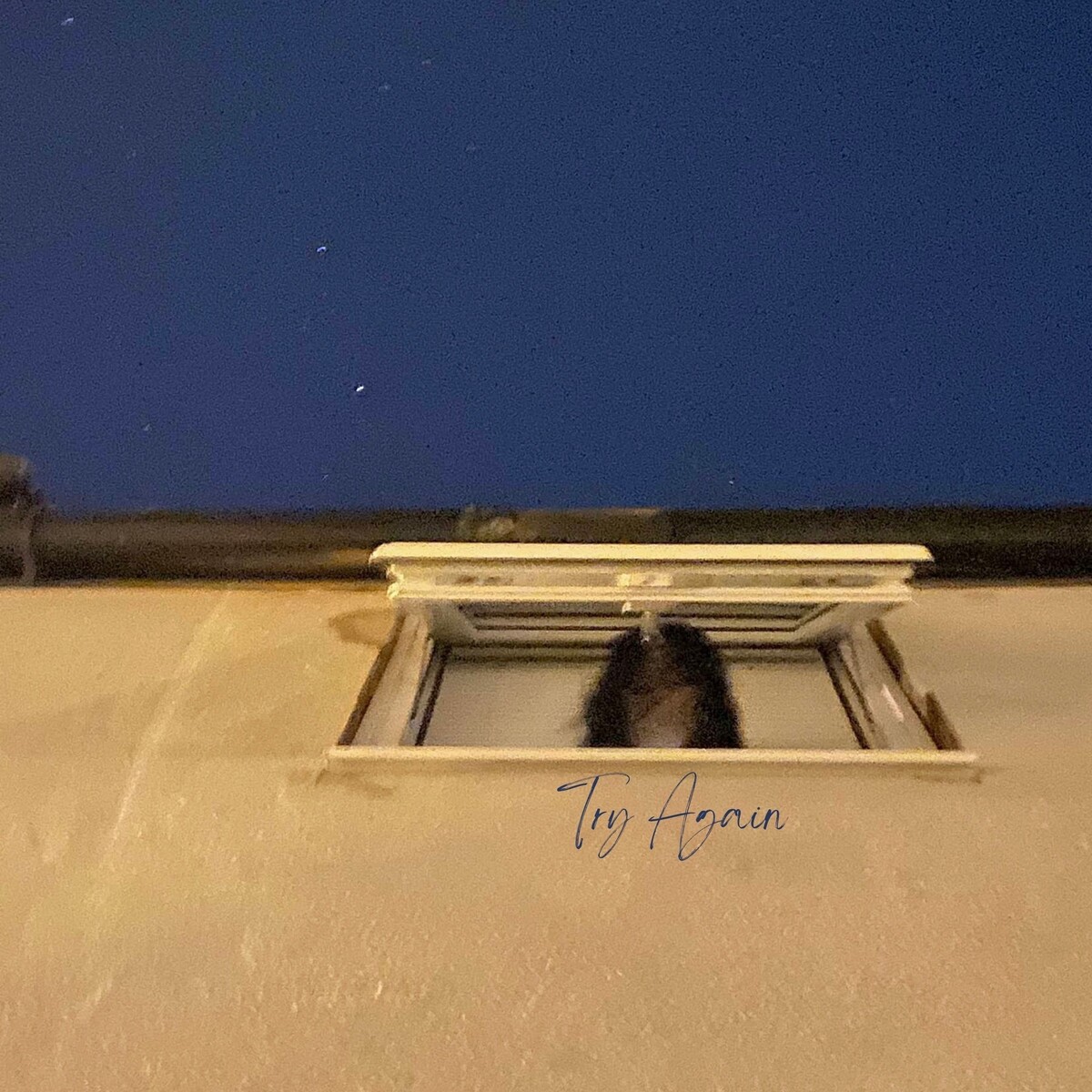 Try Again by Grace Parry (Single): Reviews, Ratings, Credits, Song list ...