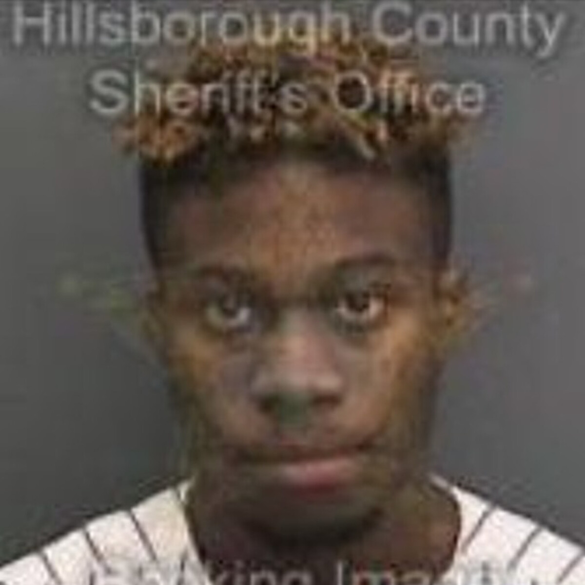 First Day Out County by Bravoo Hunnidz (Single, Plugg): Reviews ...