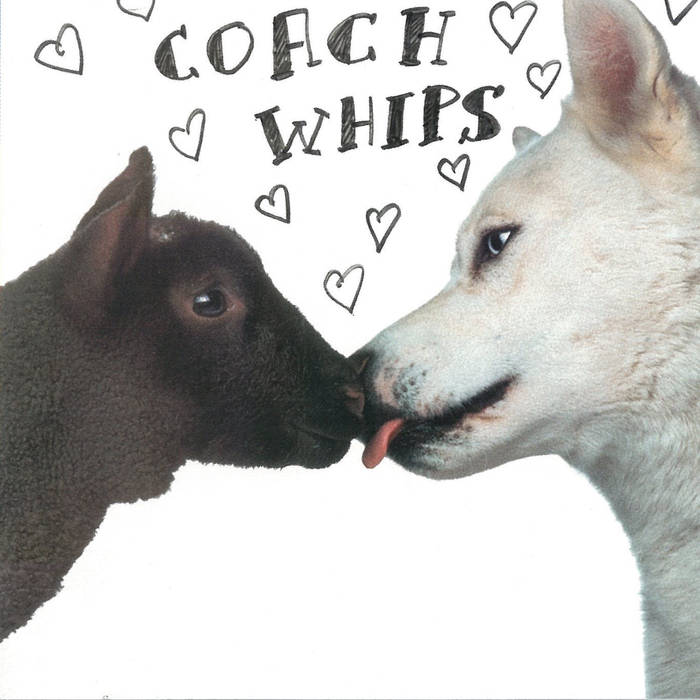 Coachwhips Albums: songs, discography, biography, and listening guide ...