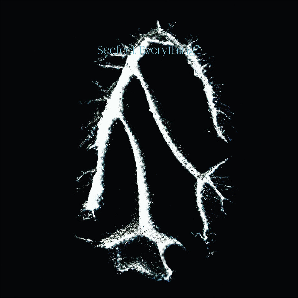 Sky Hooks by Seefeel (Single, UK Bass): Reviews, Ratings, Credits, Song ...