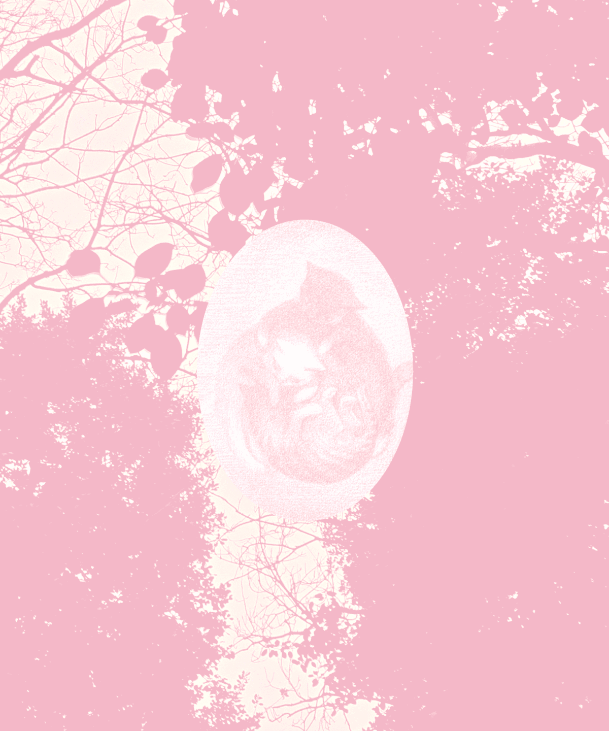 Cosmic Love (Demo 2022) by Body Double (Album; Rearview Mountain; RM03 ...