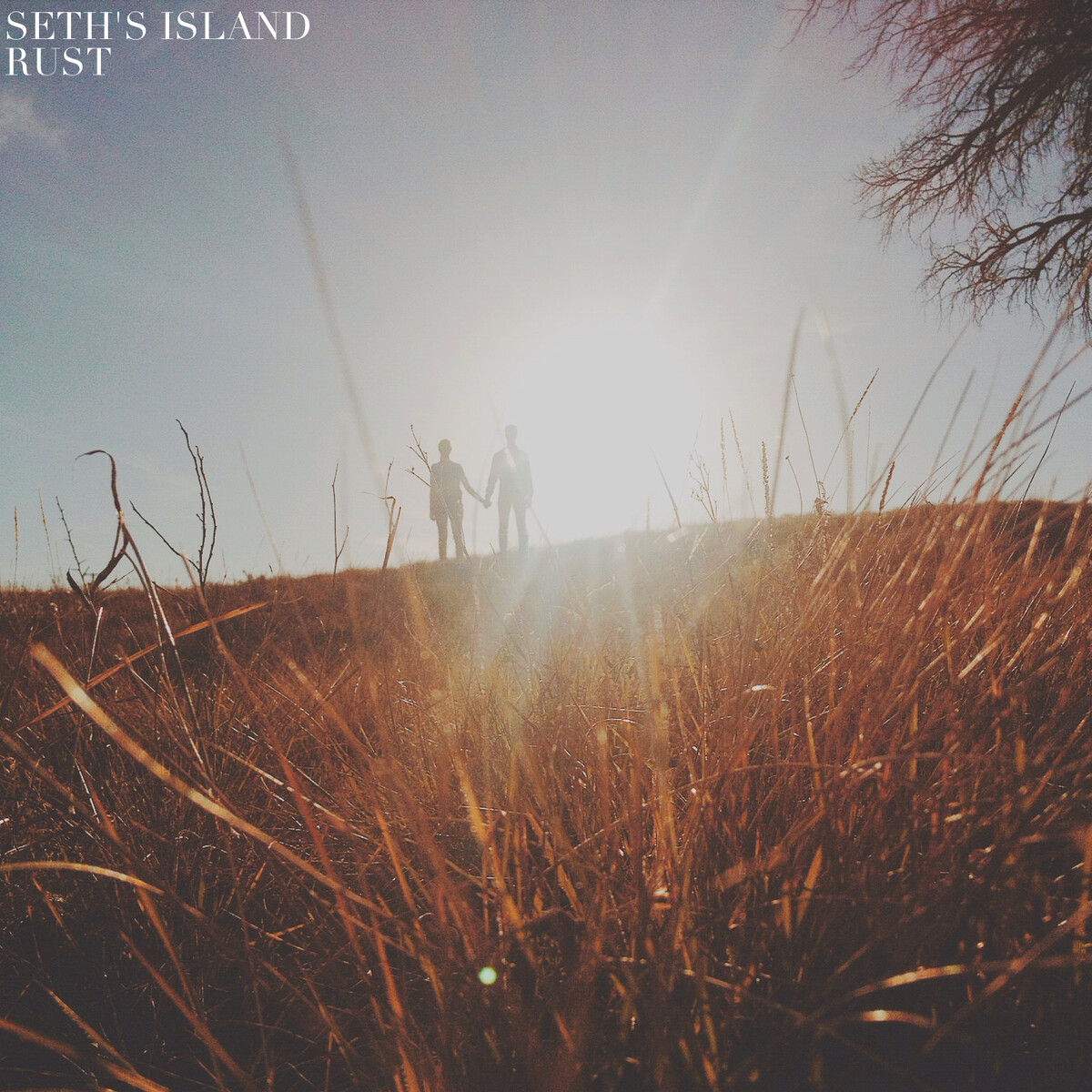 Rust by Seth's Island (Single): Reviews, Ratings, Credits, Song list ...