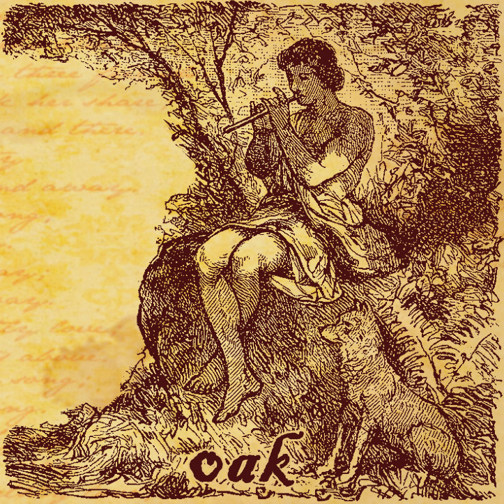 Demo by Oak (Additional release, Post-Rock): Reviews, Ratings, Credits, Song list - Rate Your Music