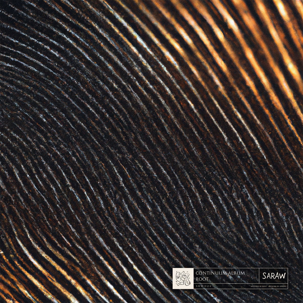 Continuum by Root (Album): Reviews, Ratings, Credits, Song list - Rate ...