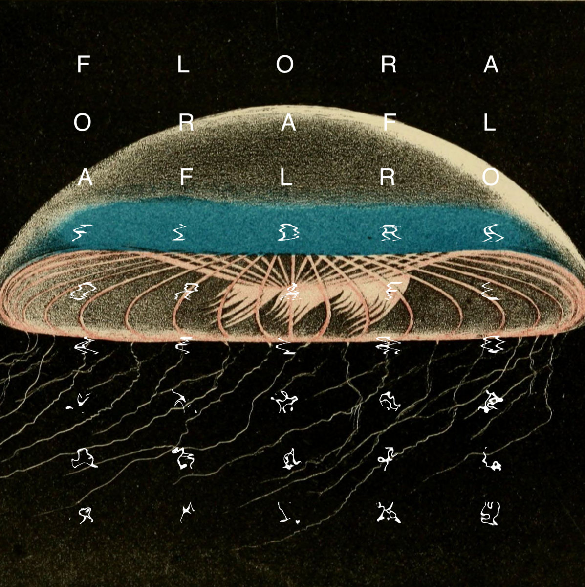 The Bottom by Flora (Album, Post-Rock): Reviews, Ratings, Credits, Song ...