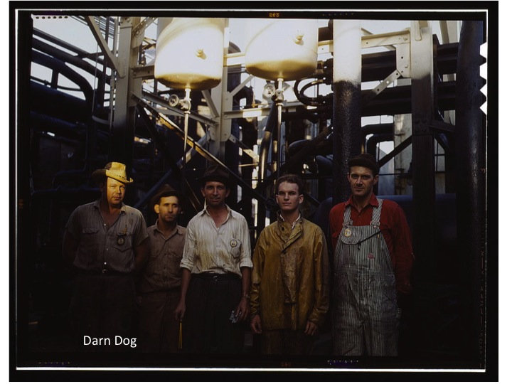 Darn Dog Albums: songs, discography, biography, and listening guide ...