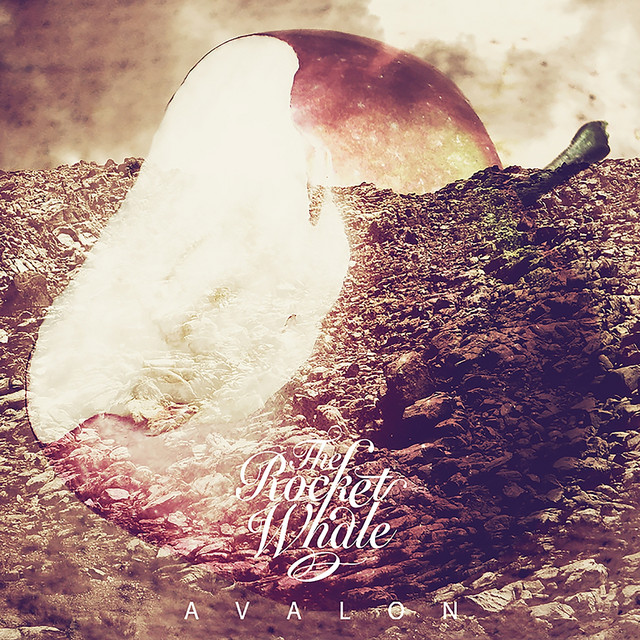 Avalon by The Rocket Whale (Single): Reviews, Ratings, Credits, Song ...