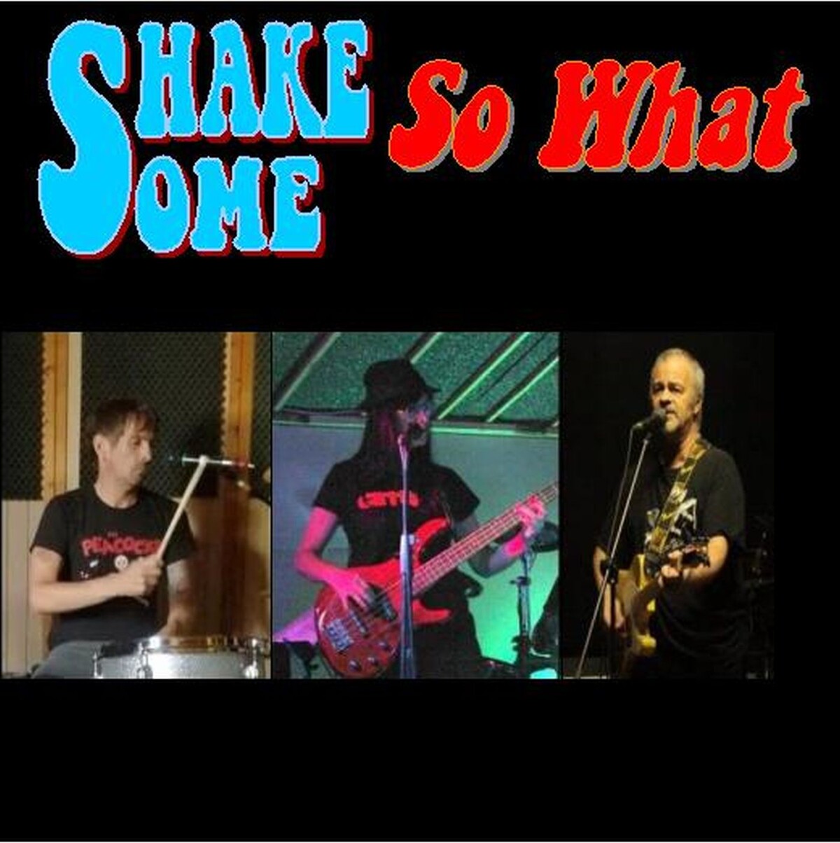 So What by Shake Some (Single, Power Pop): Reviews, Ratings, Credits ...