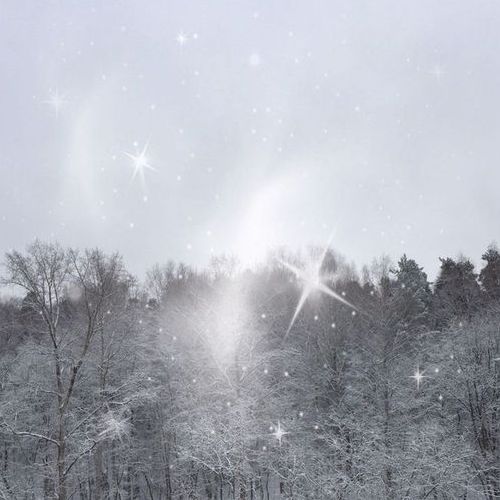 Winter Solace by Yandere (Single, Instrumental Hip Hop): Reviews ...