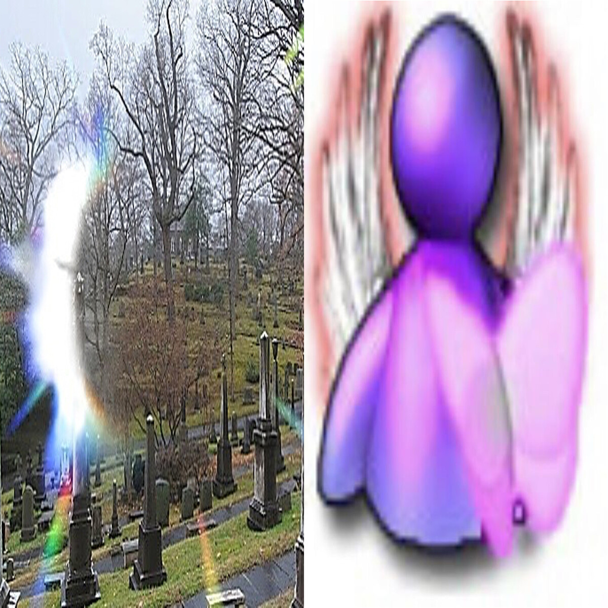 Amber Ghost Albums: songs, discography, biography, and listening guide ...