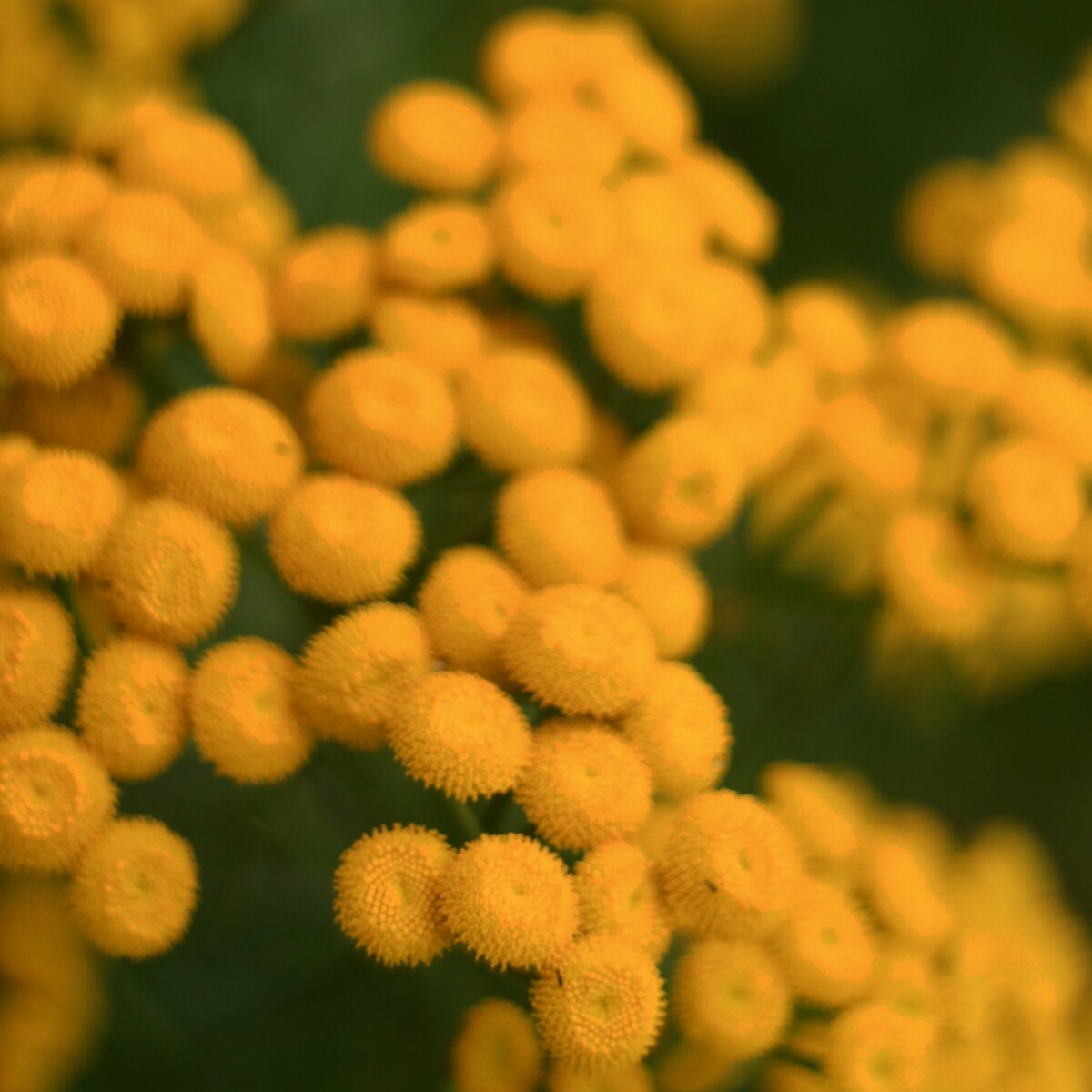 Vaciy by Sonnov (Album): Reviews, Ratings, Credits, Song list - Rate Your Music