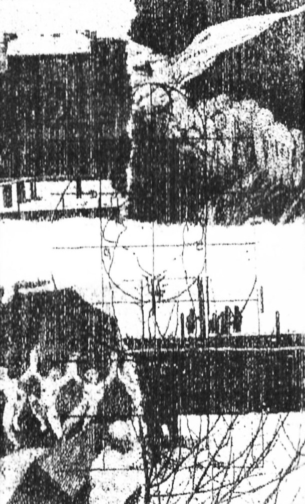 Prolepsis Albums: songs, discography, biography, and listening guide ...